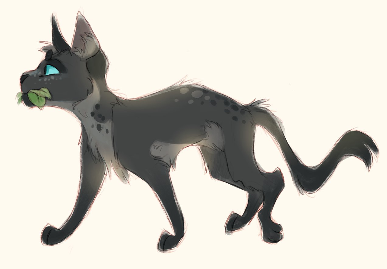 Anime Warrior Cats Cinderpelt