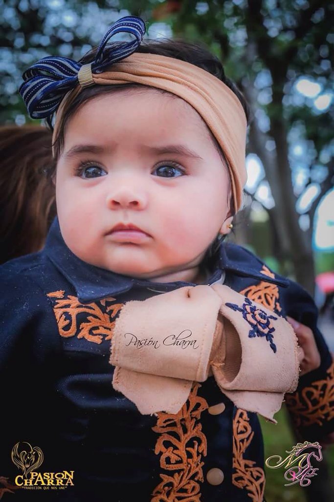 Roxanne Sullivan's Instagram, Twitter & Facebook on IDCrawl