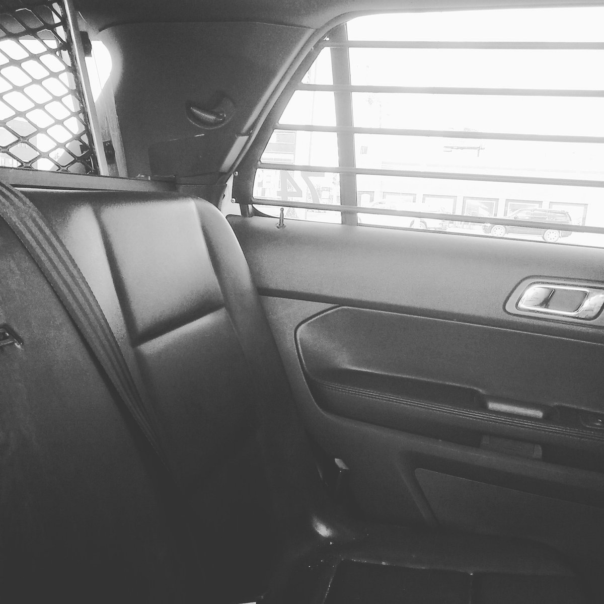 Police Car Inside Back Seat