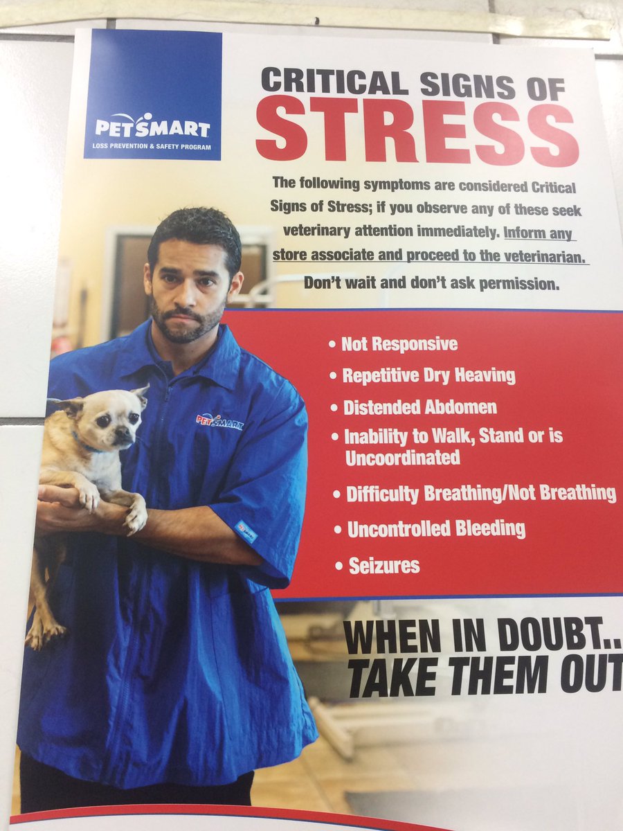 What Are Critical Signs Of Stress In Dogs