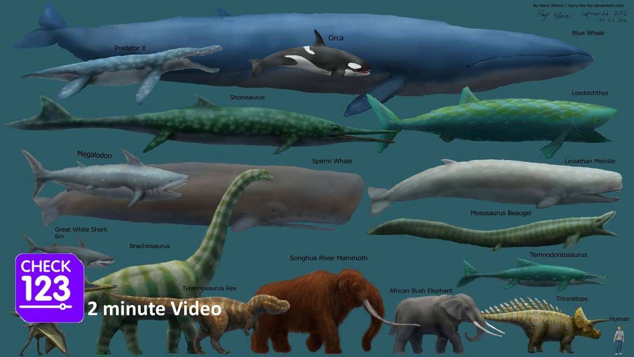 Largest Animals Ever Chart