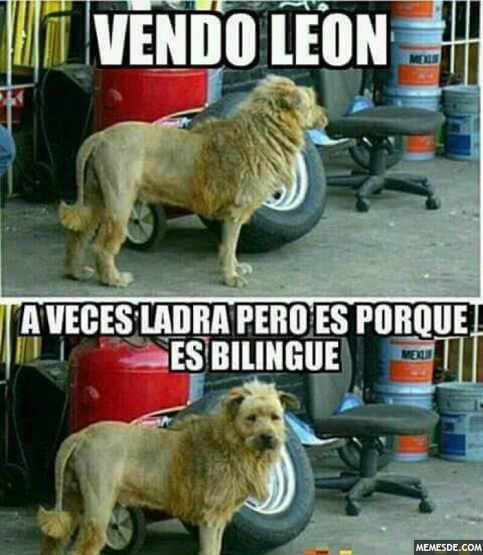 Se Vende En Memes Cómic, Imagenes Y Memes De Fnaf Security Breach.