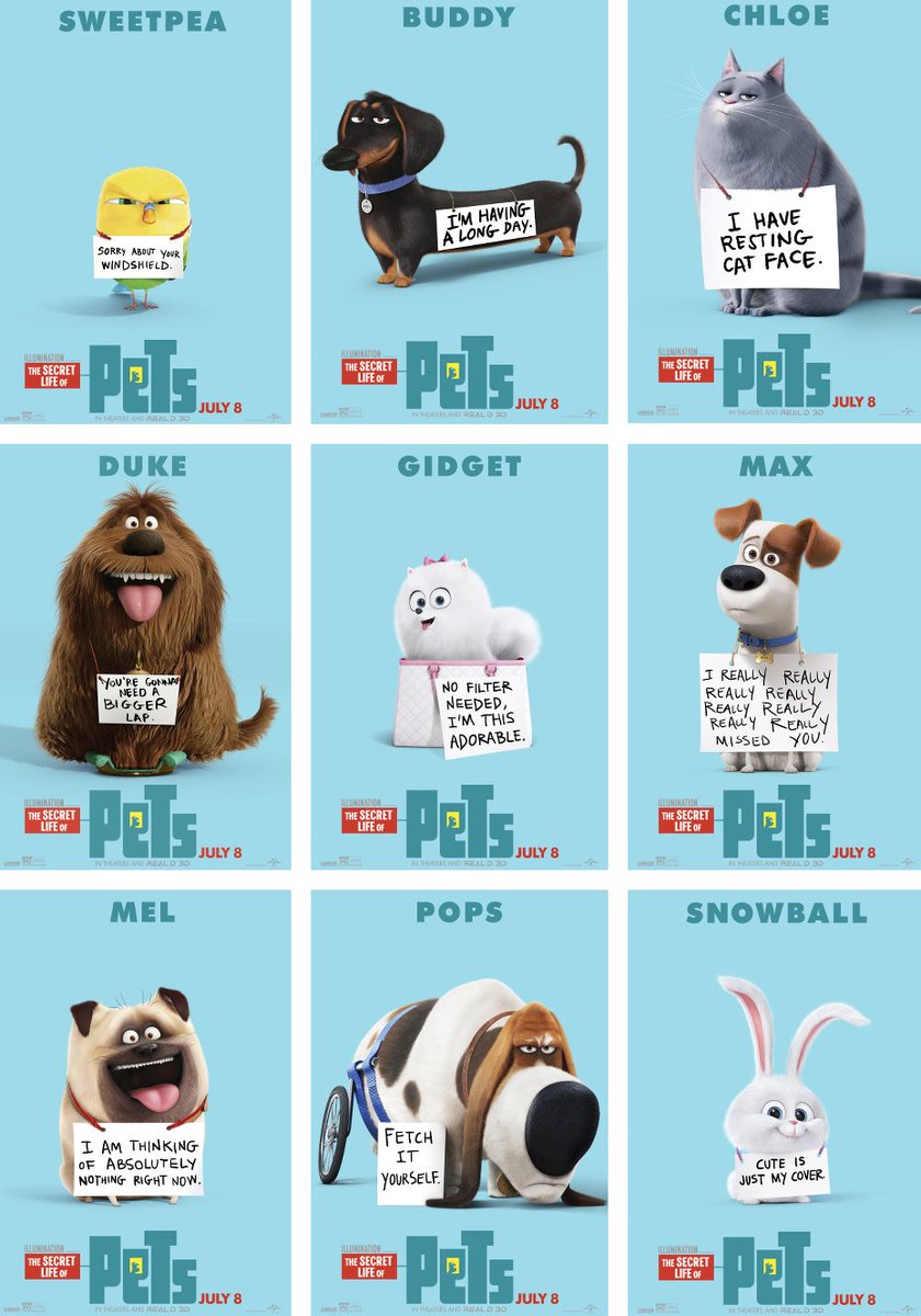 What Dog Breed Is Duke From Secret Life Of Pets