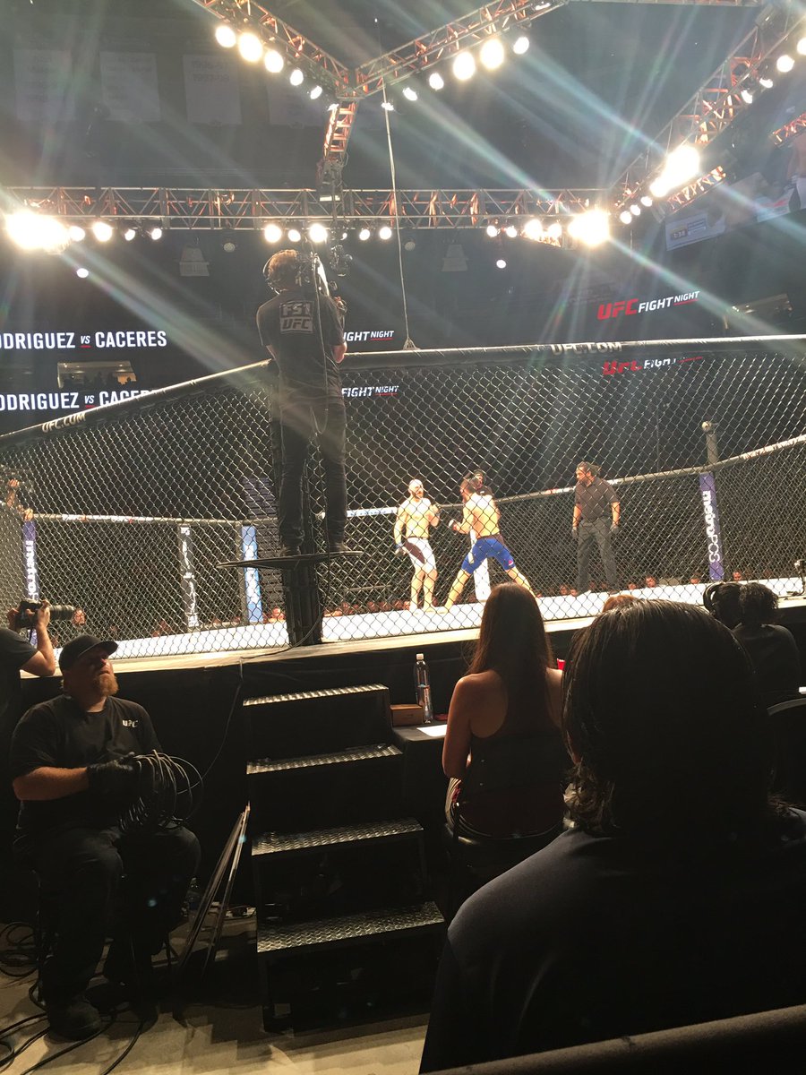 1013 best Twitter Ufc images on Pholder | Misscarlybaker, Cat Zingano ...