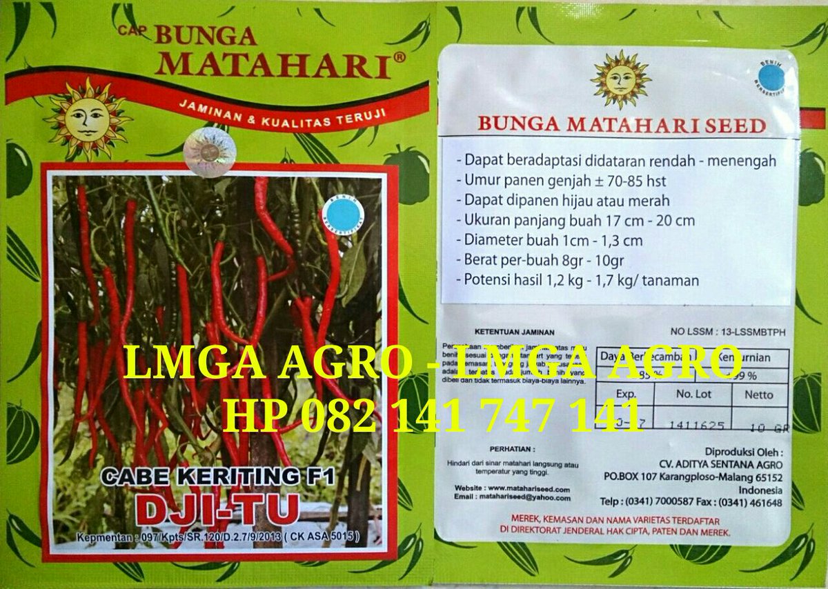 11+ Bunga Matahari Seed - Gambar Bunga Indah
