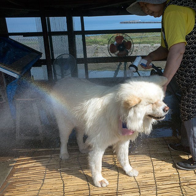 わさお公式 on Twitter: "#わさお レインボウ / Can you feel? I can feel #wasao https://t.co/GfwhIqBVxY" / Twitter