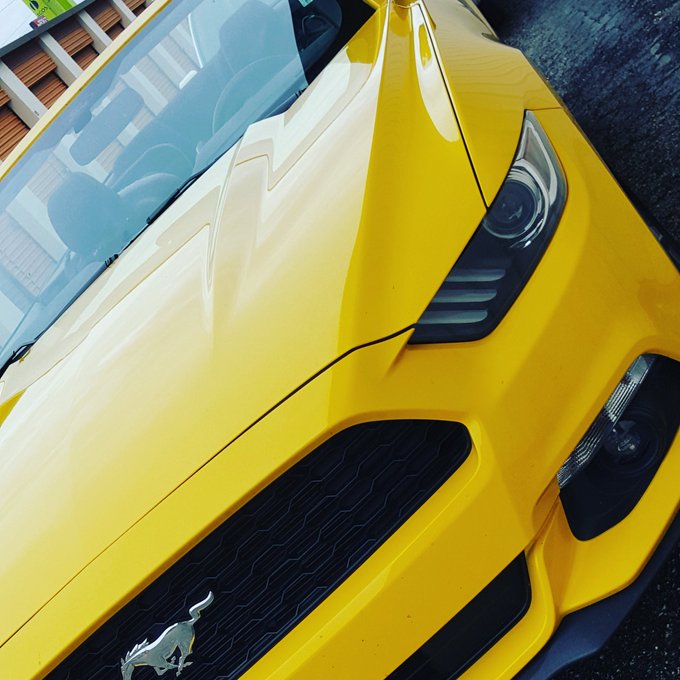 TW Pornstars - Macy Cartel. The most retweeted pictures and videos for ...