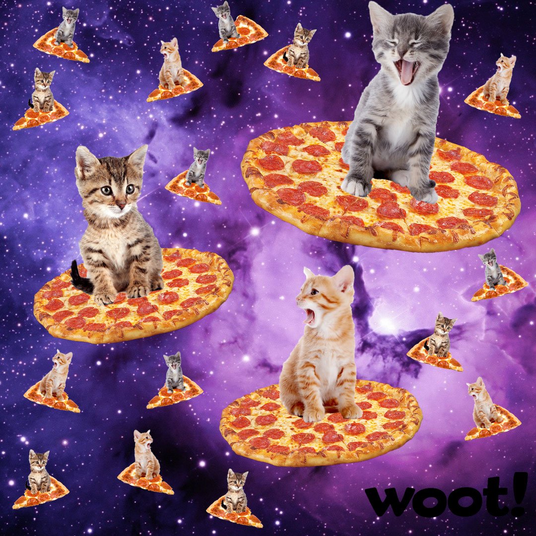 Galaxy Pizza Cat