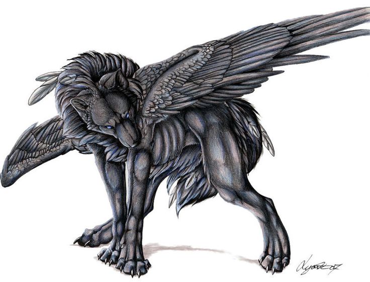 Black Demon Wolf With Wings