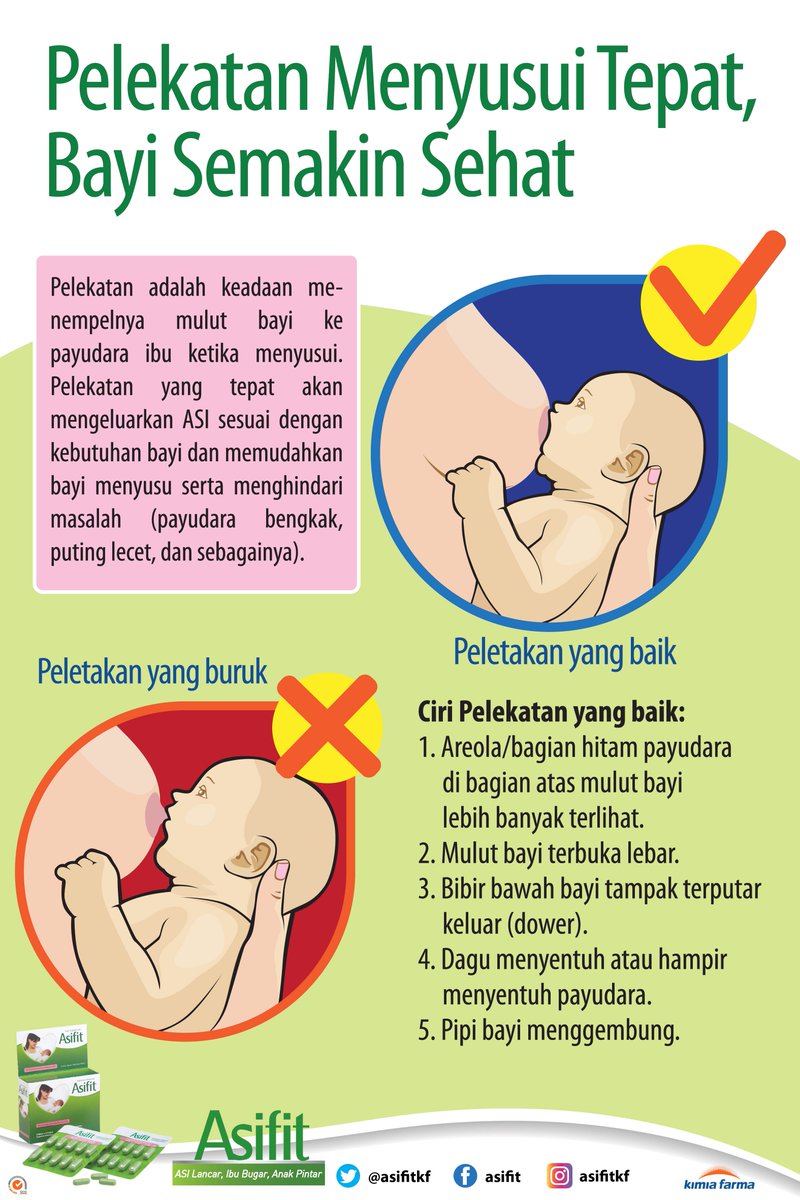 Leaflet Teknik Menyusui Yang Benar - vrogue.co Leaflet Teknik Menyusui Yang Benar - vrogue.co