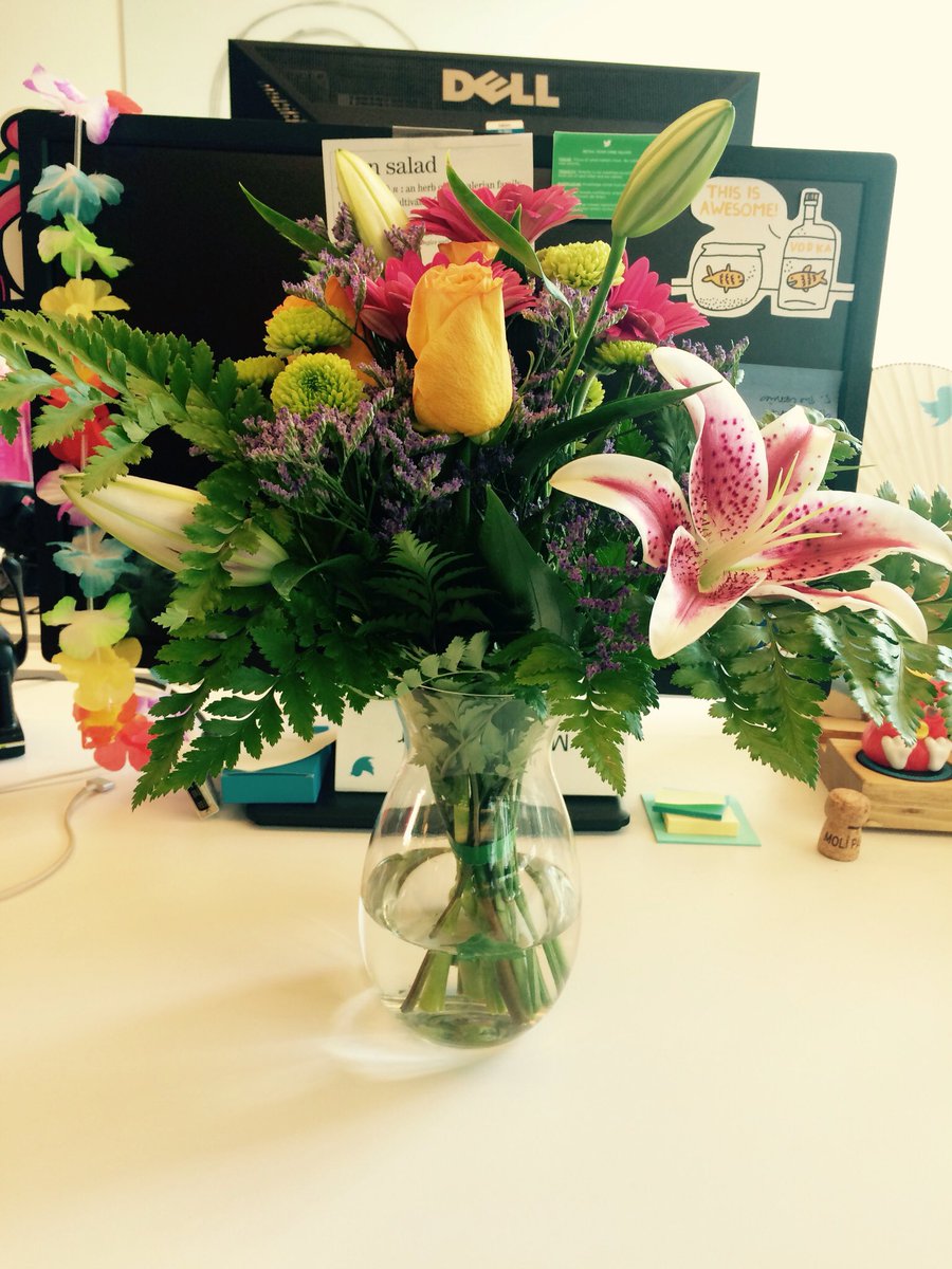 Maria Plummer (@mp) | Twitter