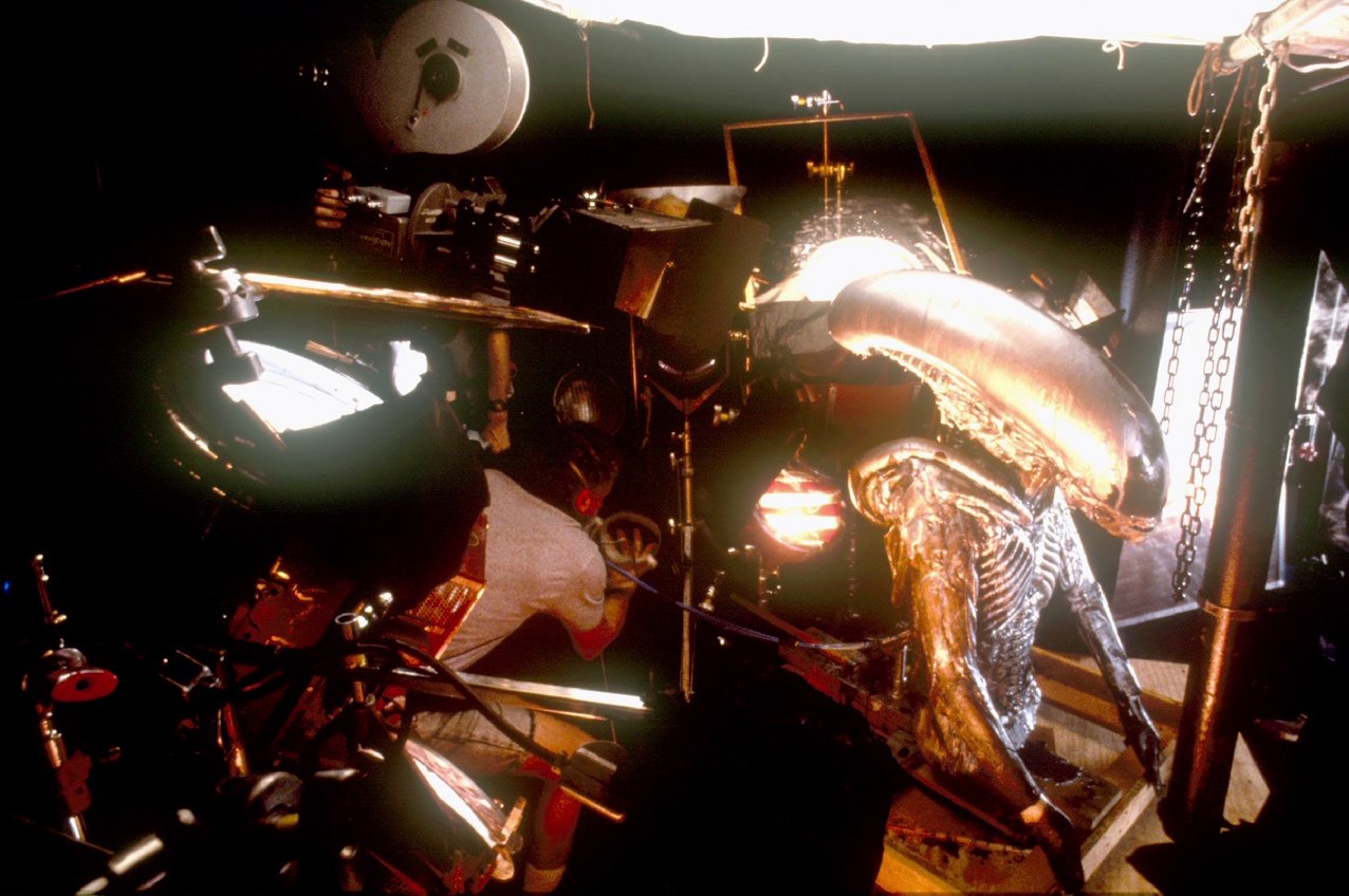 Best pic of an Alien - Page 560