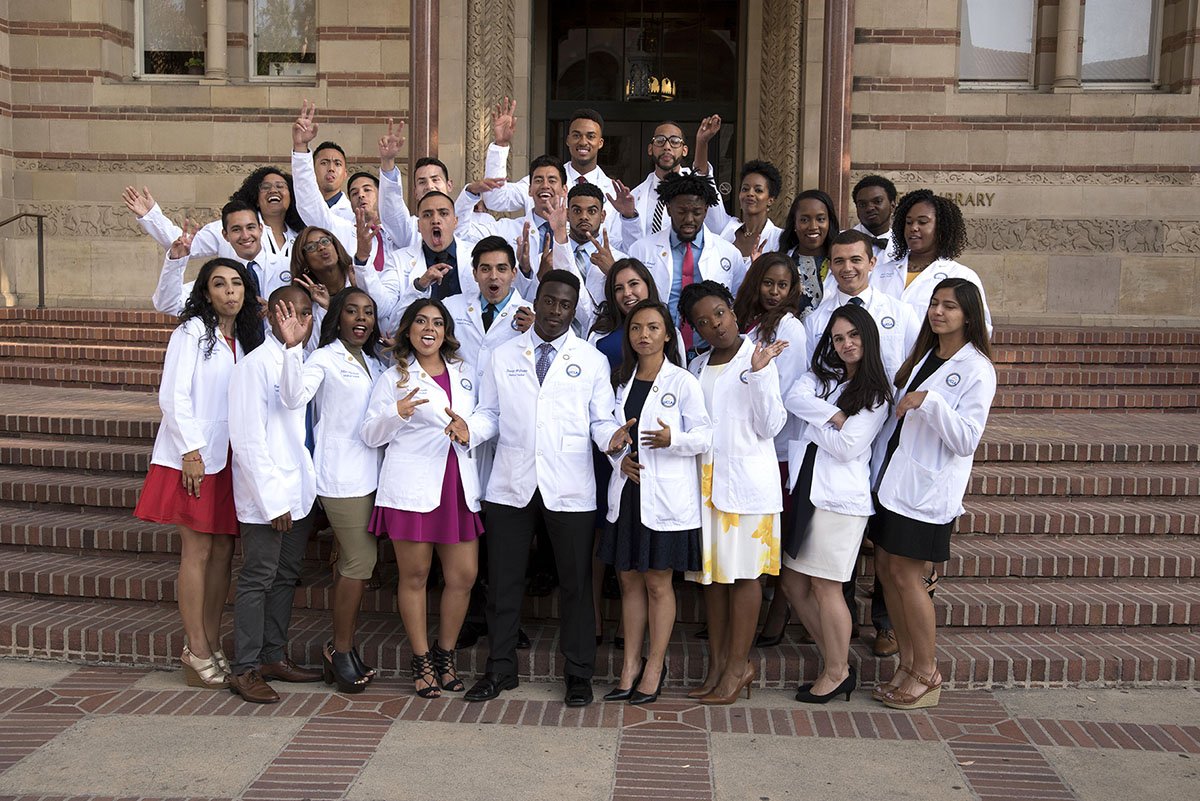 Ucla School Of Medicine