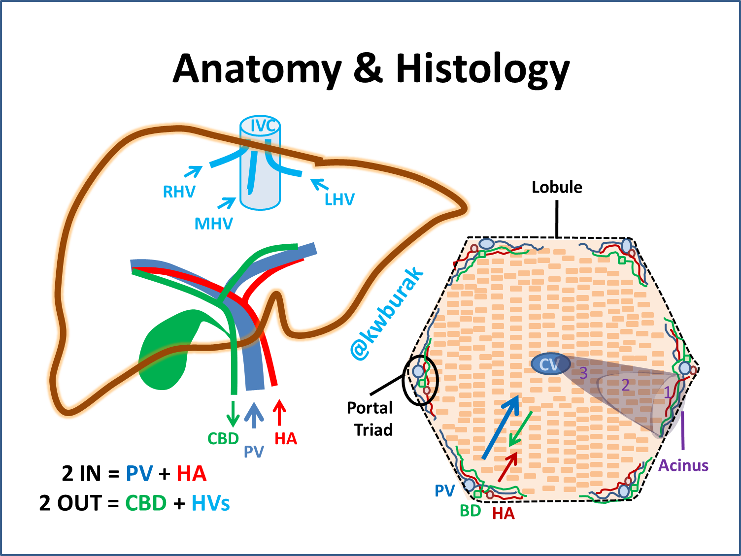Portal Triad Diagram