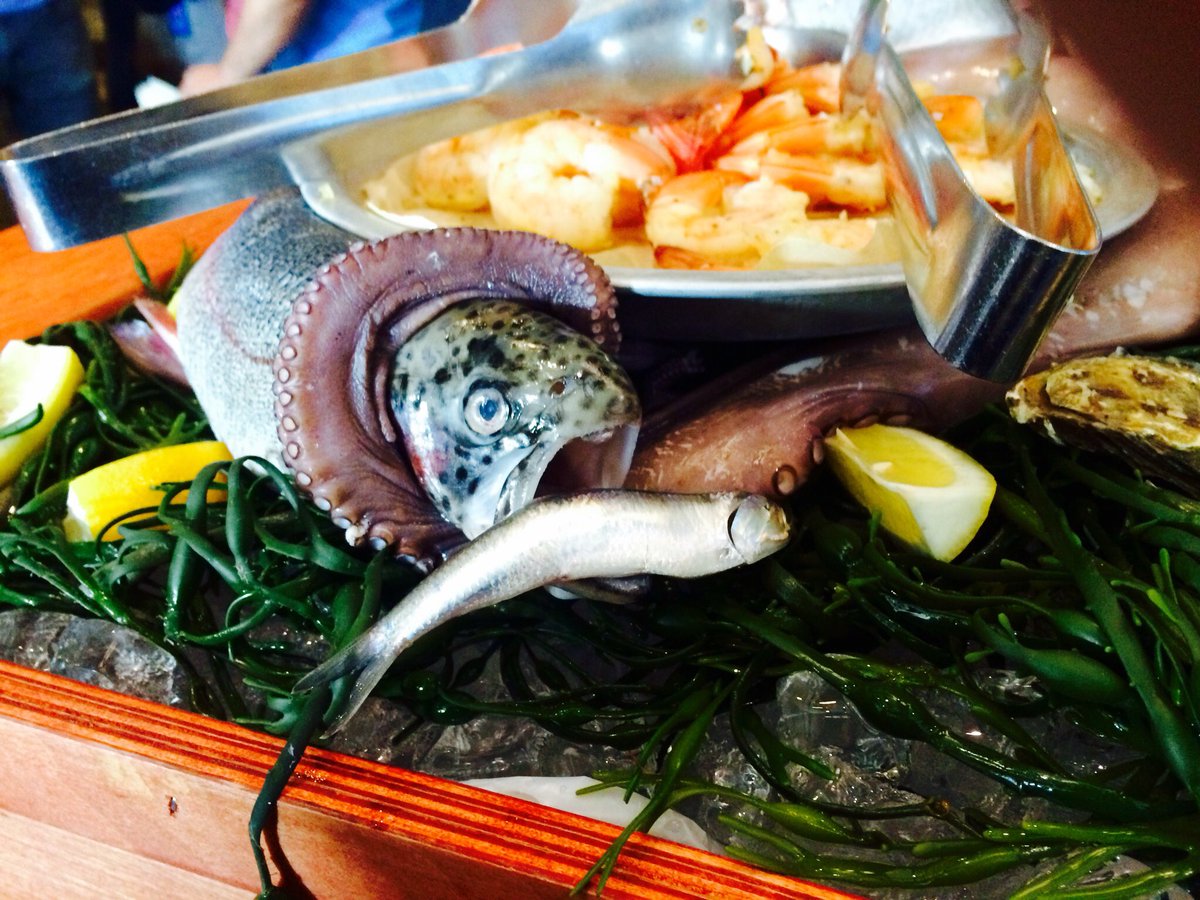 Maria Plummer (@mp) | Twitter