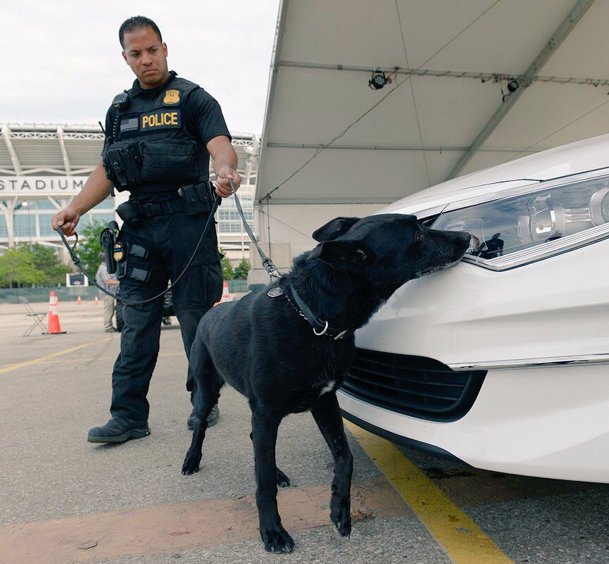 At DHS, every day is NationalDogDay! We're grateful to the K9 members ...