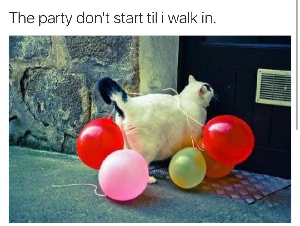 Celebration Cat Meme