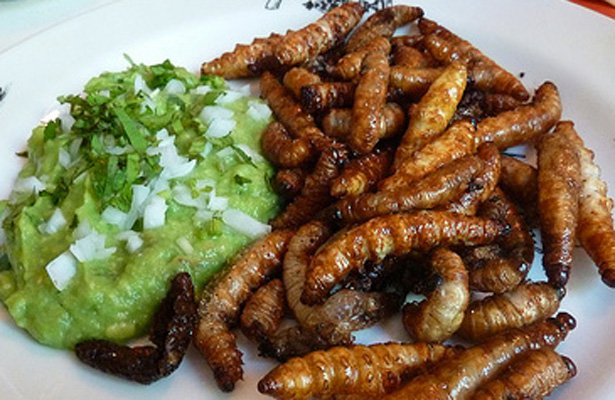 Si no sabes que comer el día de hoy aquí te decimos comida exótica ... Si no sabes que comer el día de hoy aquí te decimos comida exótica ...