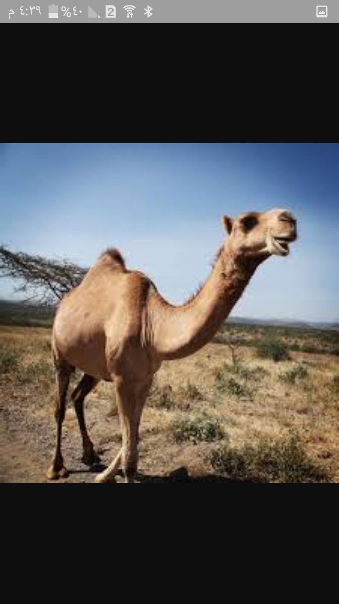 الستقرامali__plm (@ali__plm) | Twitter