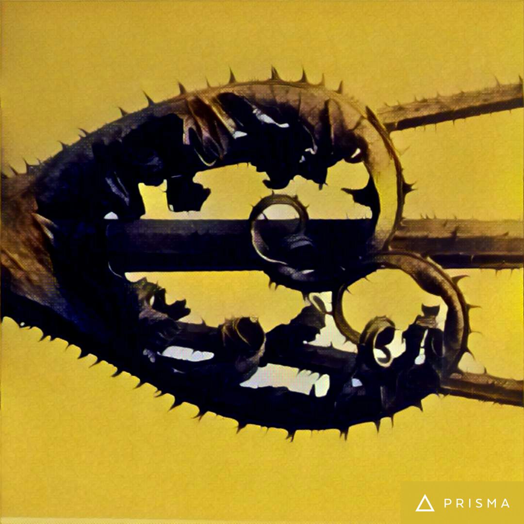 diego iglesias (@diegoiglesias) | Twitter