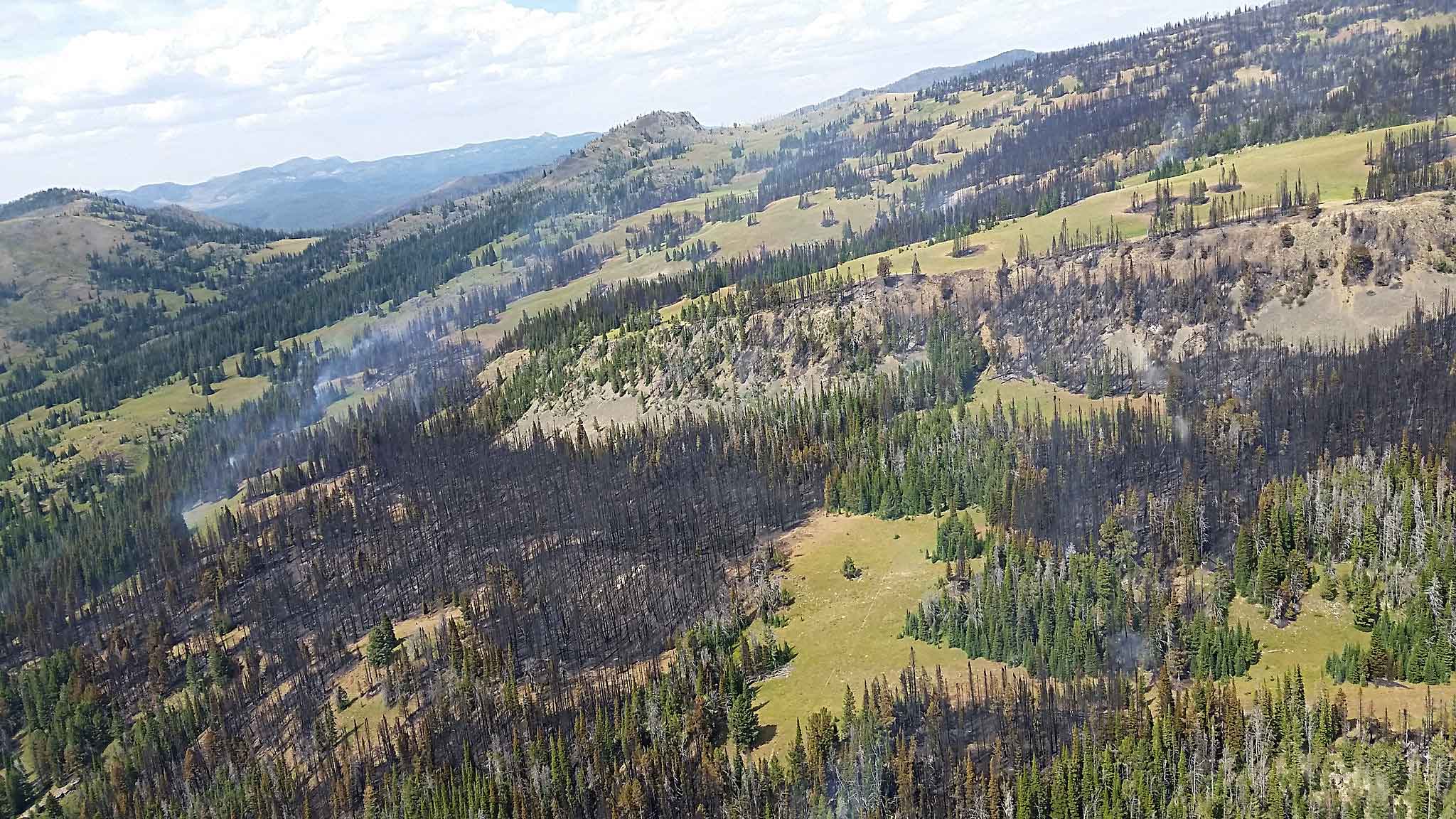 Wildfire closes southern entrance to Yellowstone National Park