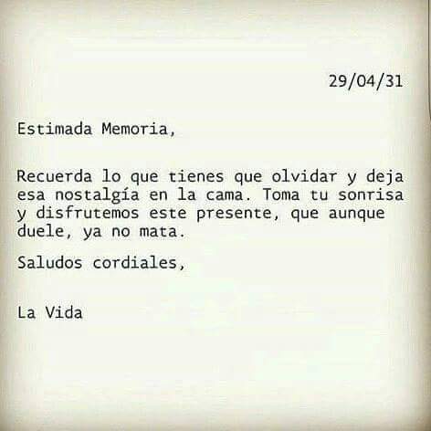 sofia enriquez (@sofisparrow) | Twitter