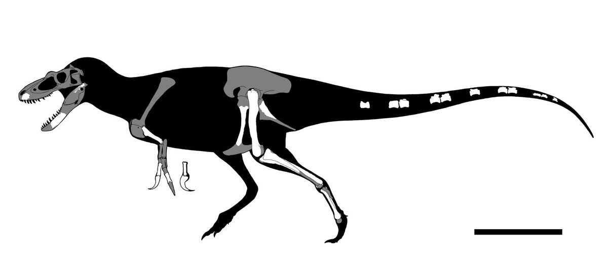 Dryptosaurus aquilunguis