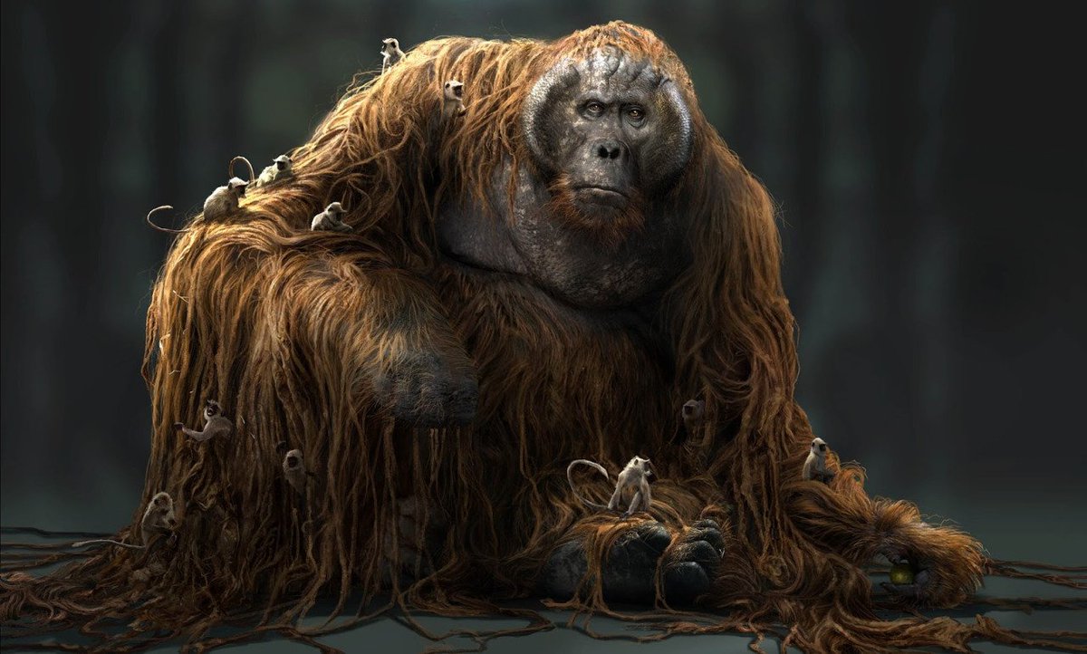 Orangutan Jungle Book