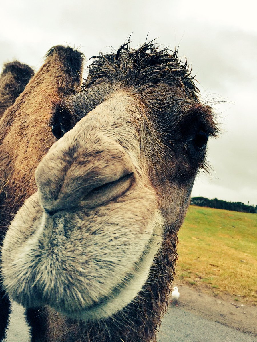 Mark Donnison (@markdonnison81) | Twitter