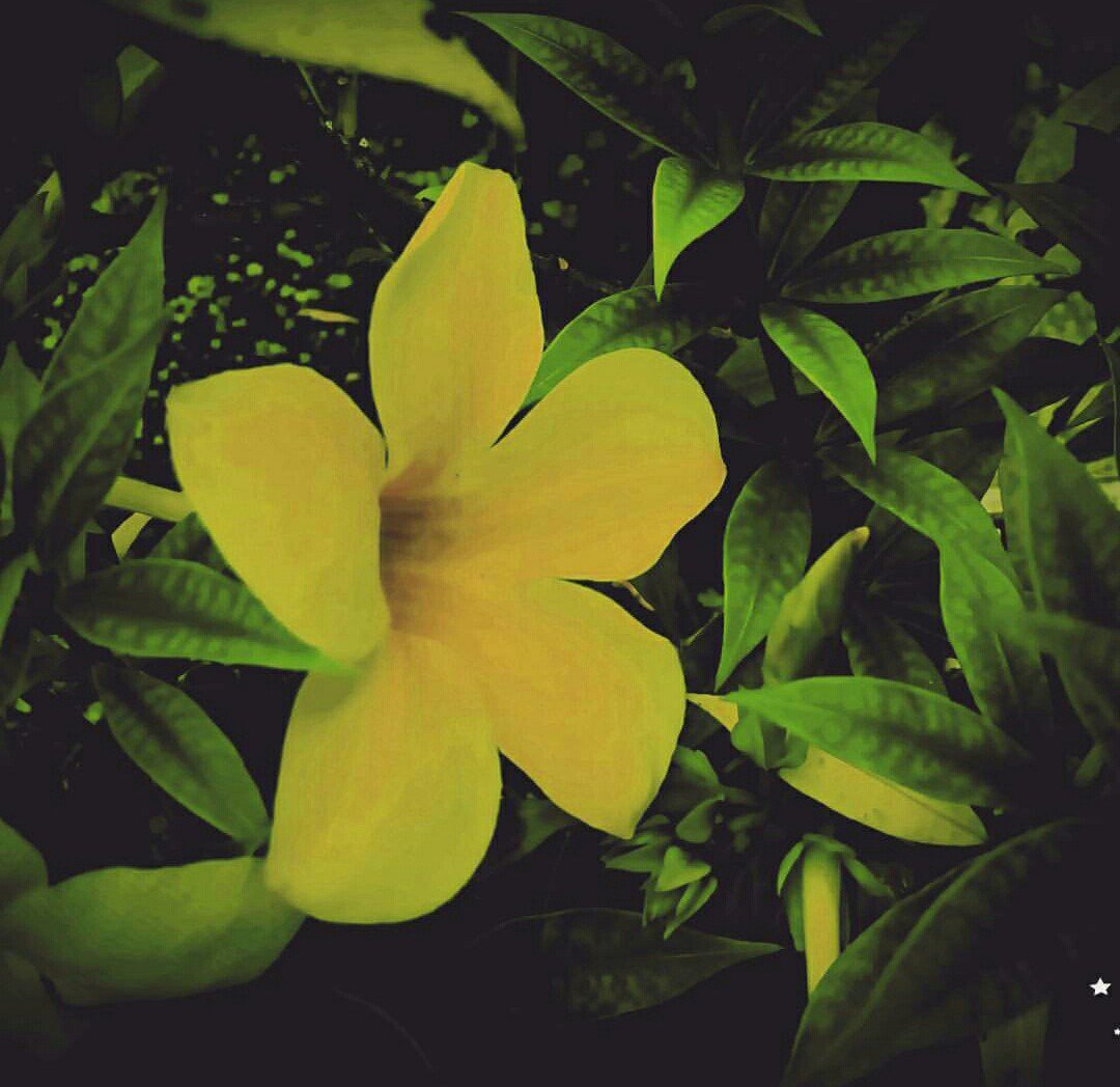 Subhadeep Maity (@Subhade40440112) | Twitter