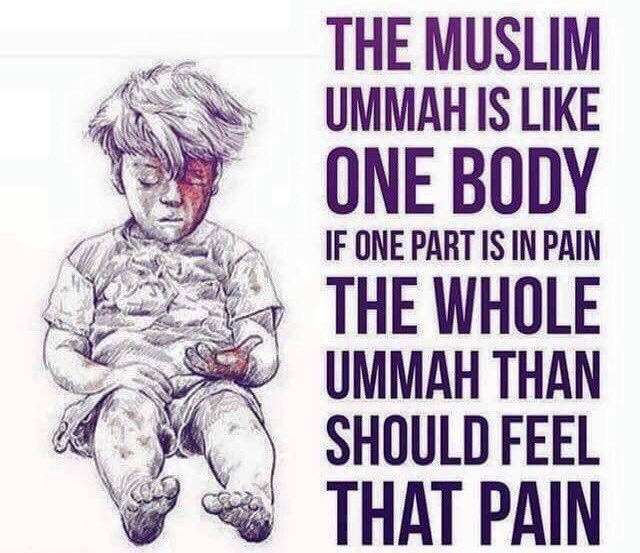 Ummah Islam