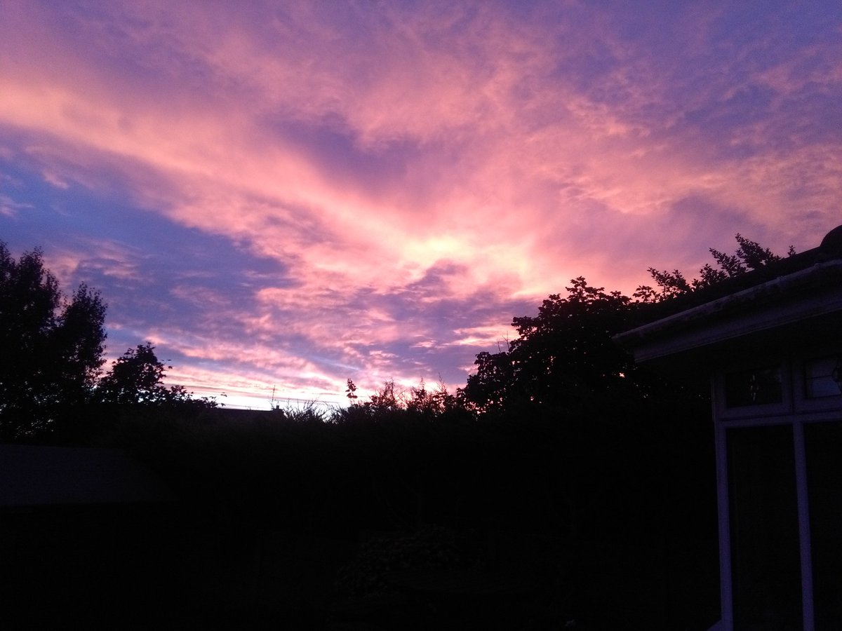 Ava Stapleton (@avastapo) | Twitter