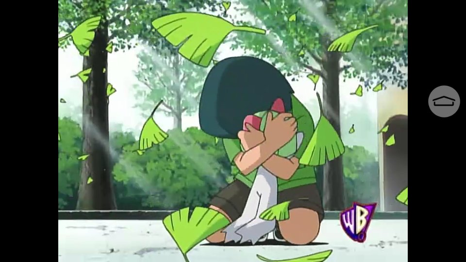 Pokemon Max And Ralts