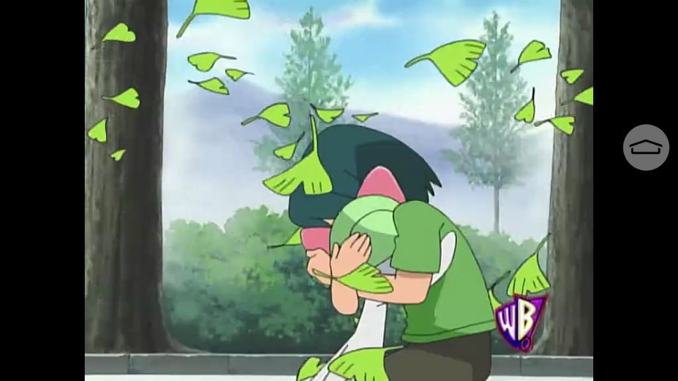 Pokemon Max And Ralts