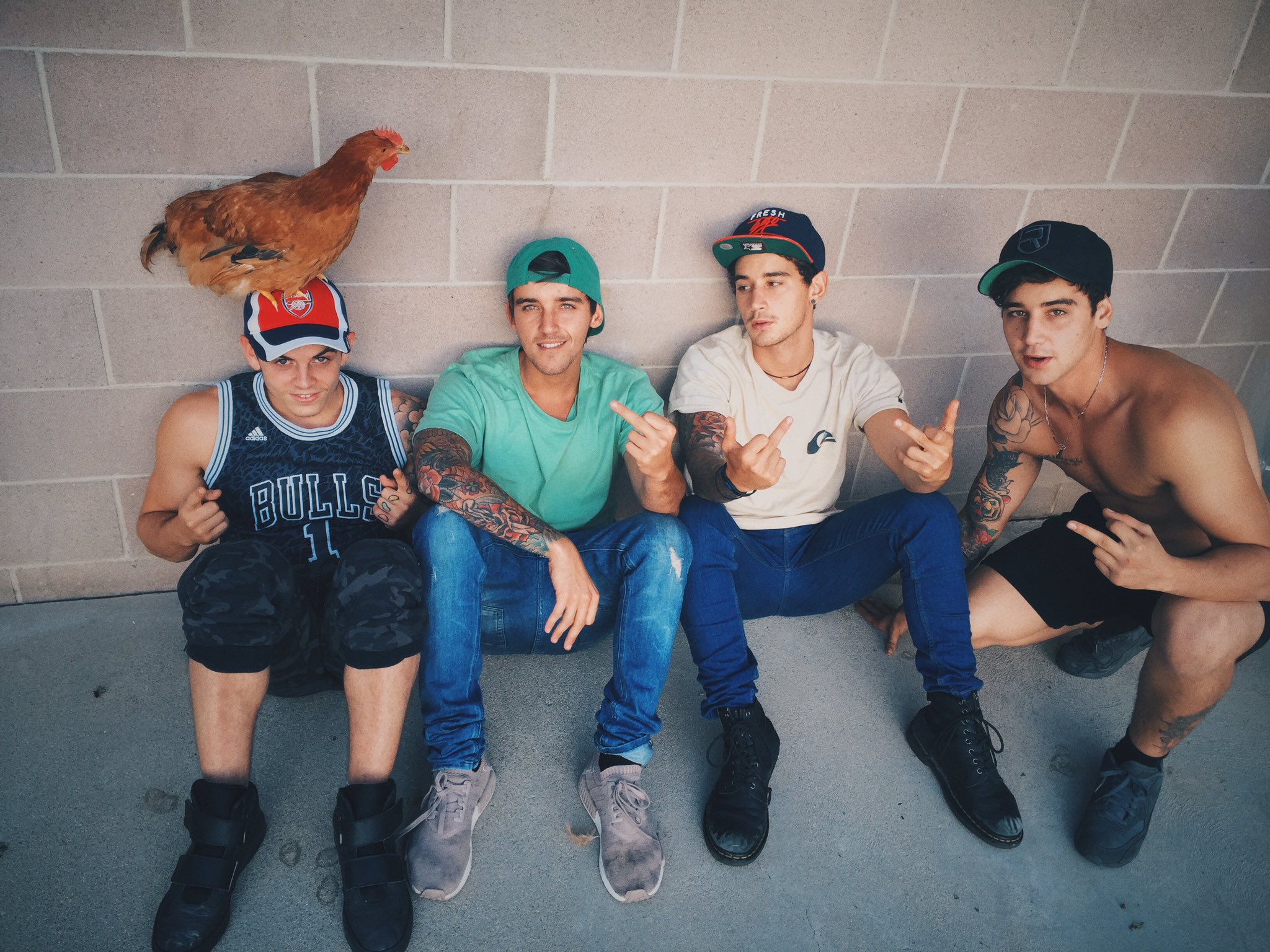 Janoskians Wallpaper 4k