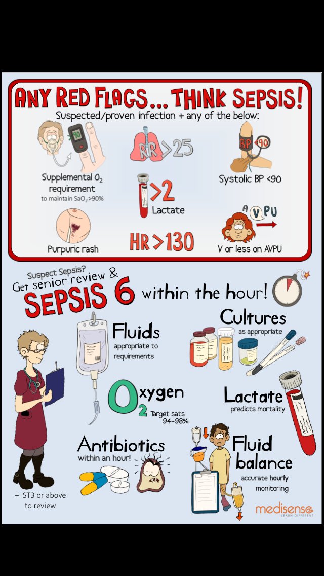 Sepsis 6