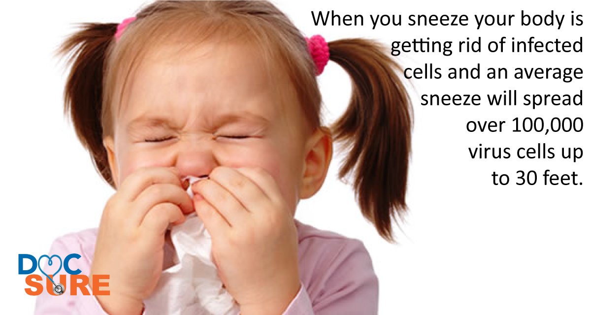 DOCSURE (@DOCSURE2) | Twitter