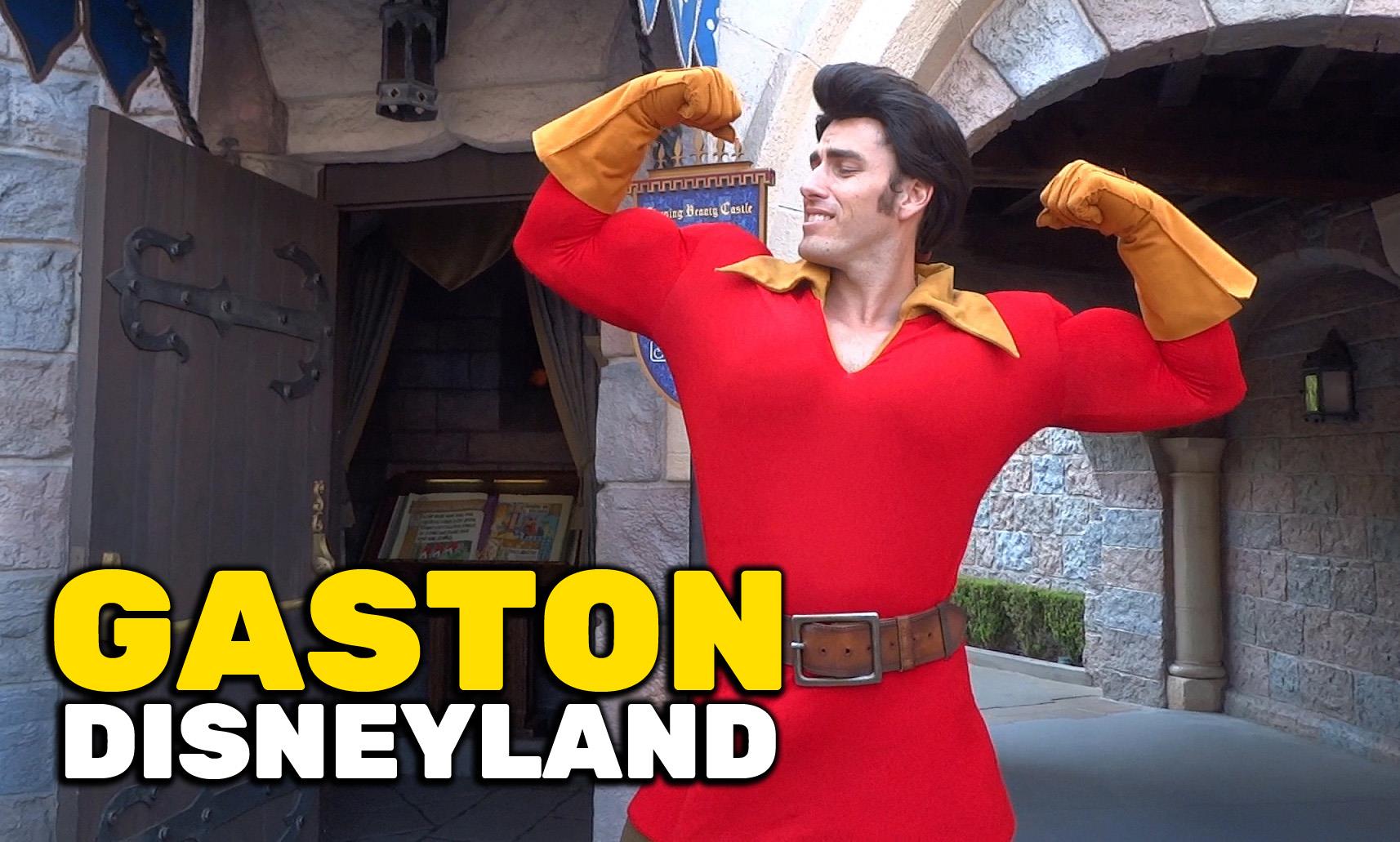 Gaston Face Character