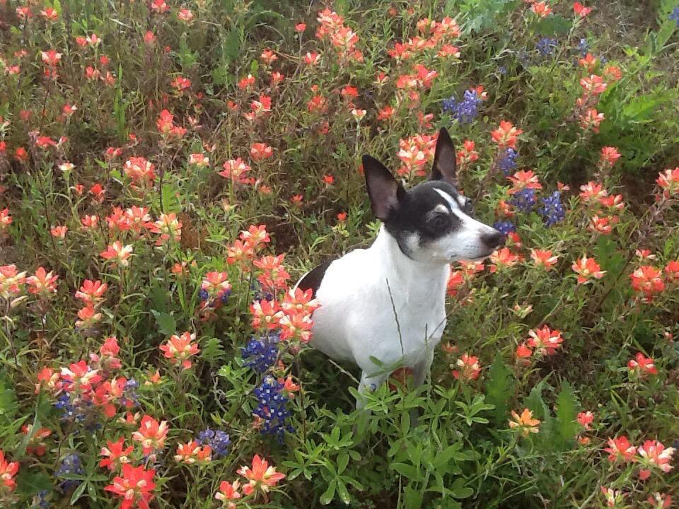 lacee : Latest news, Breaking news headlines | Scoopnest