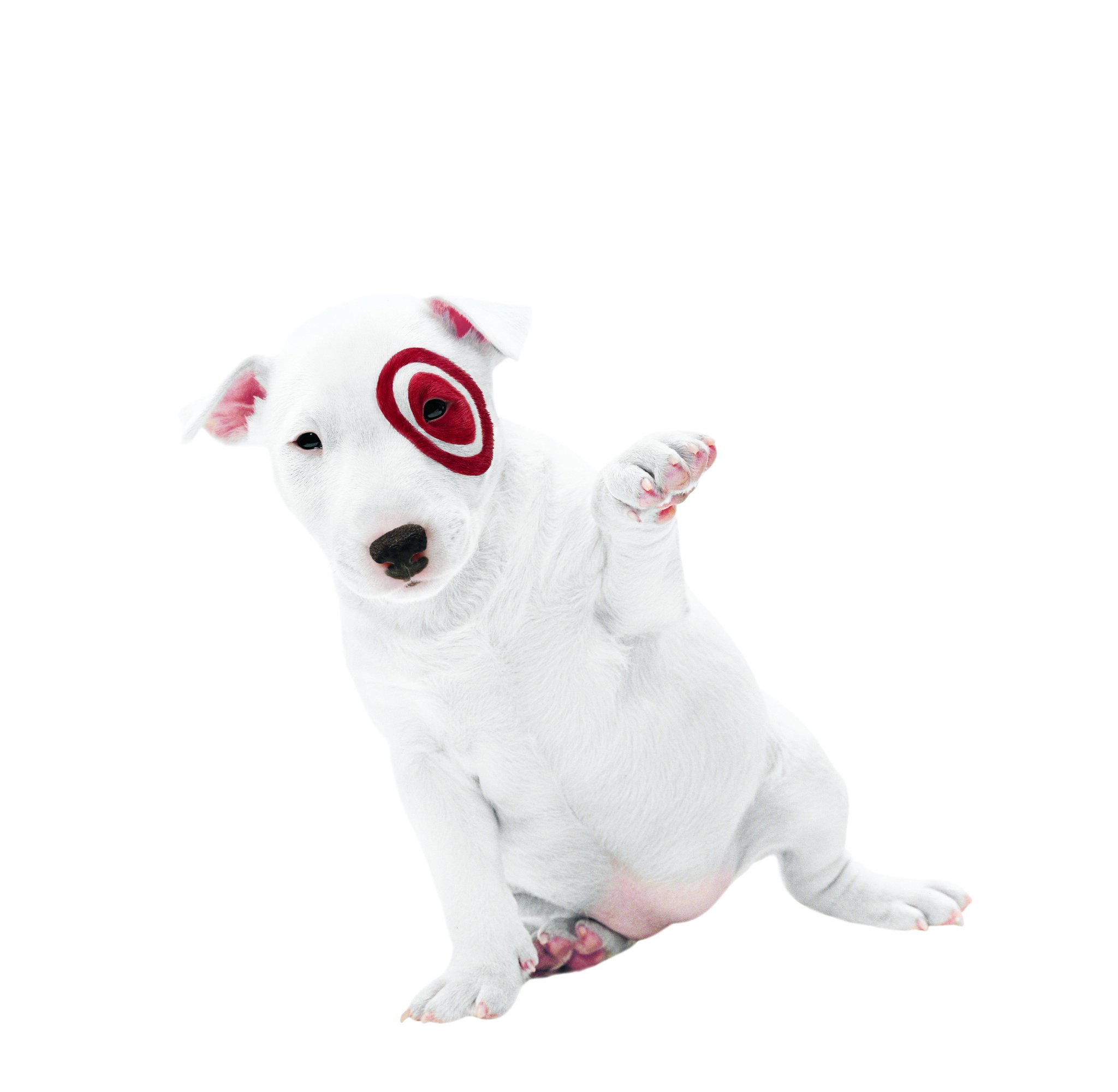 Target Dog Png