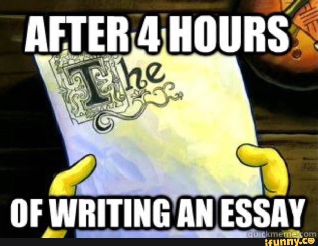 Essay Writing Meme