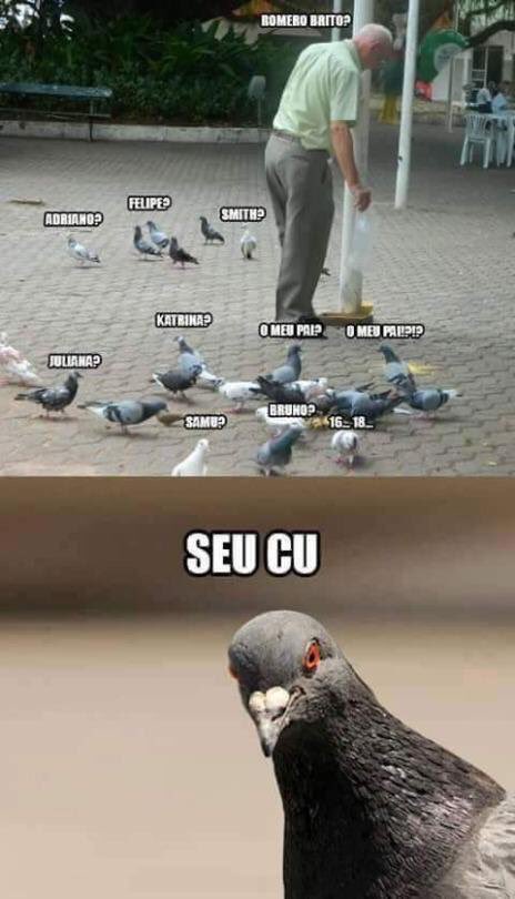 Pomba Lesa Memes