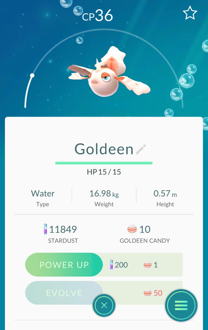 Pokemon Goldeen Evolution Chart