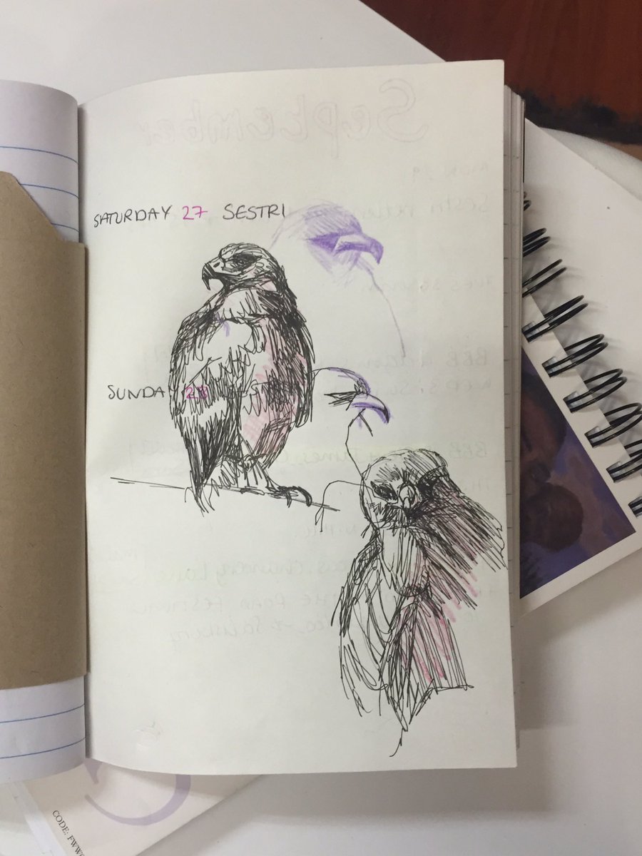 Sky Birds Of Prey (@SkyBirdsOfPrey) | Twitter