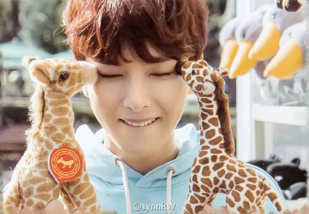 Ryeowook Giraffe