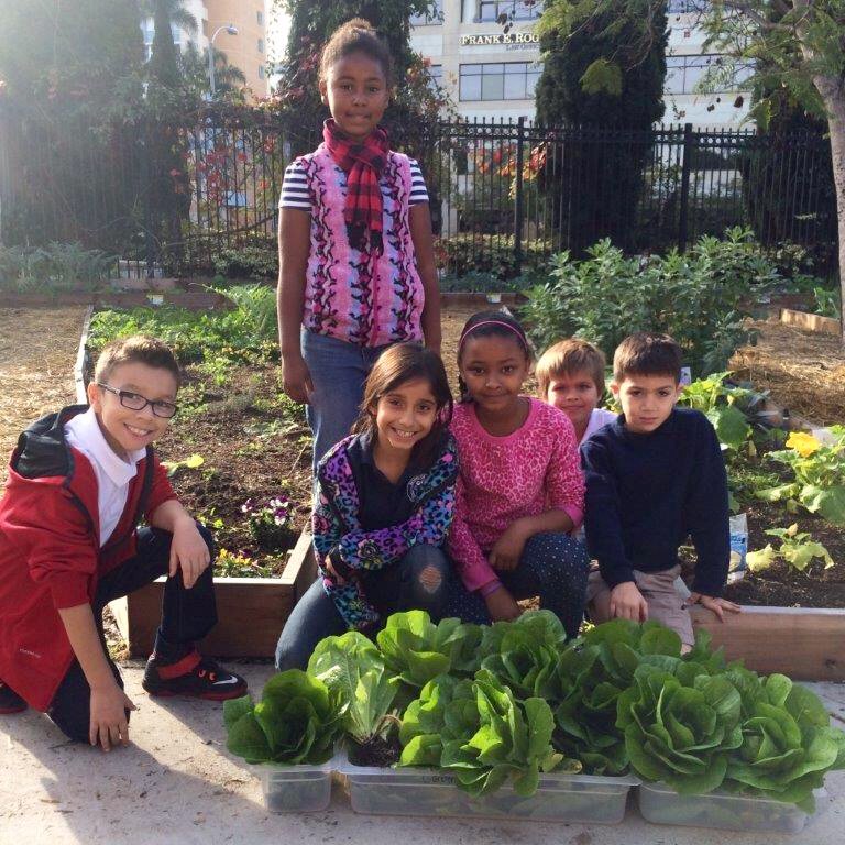 SDUSD Farm to School on Twitter: "Students at Washington Elem grew ...