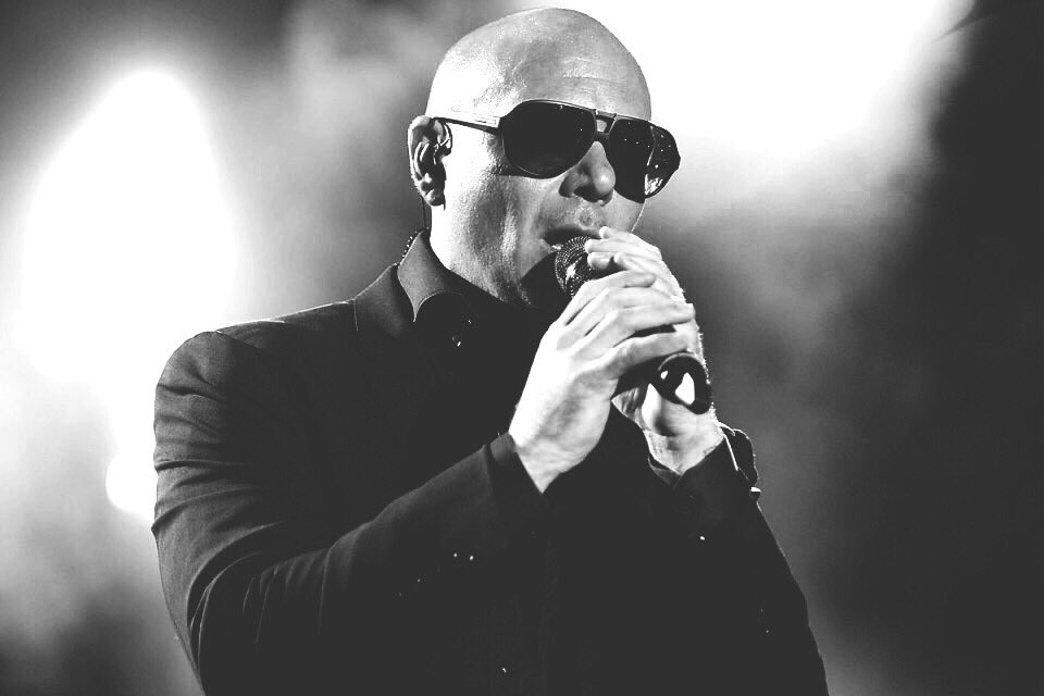 Pitbull Rapper Black And White
