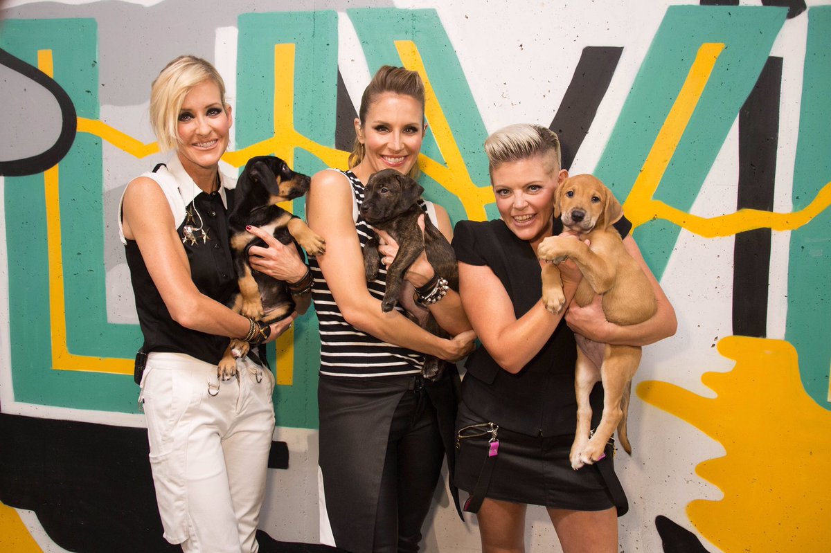 Martin Strayer's Instagram, Twitter & Facebook on IDCrawl