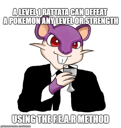 Rattata Meme