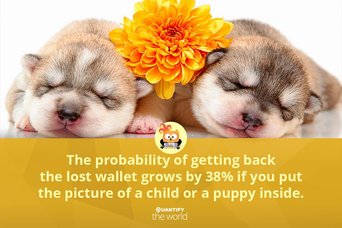 Quantify the World (@QuantifyWorld) | Twitter